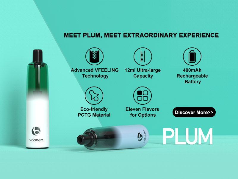 The Best Disposable E-Cigs , Must-Try Vabeen Disposable Vape Pen